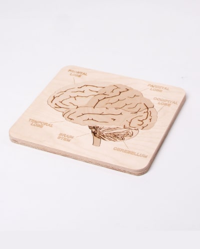 Zmorph 3D – Techvue3d